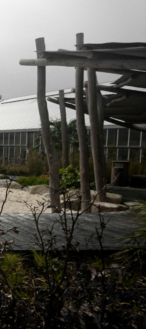 Group gathering area