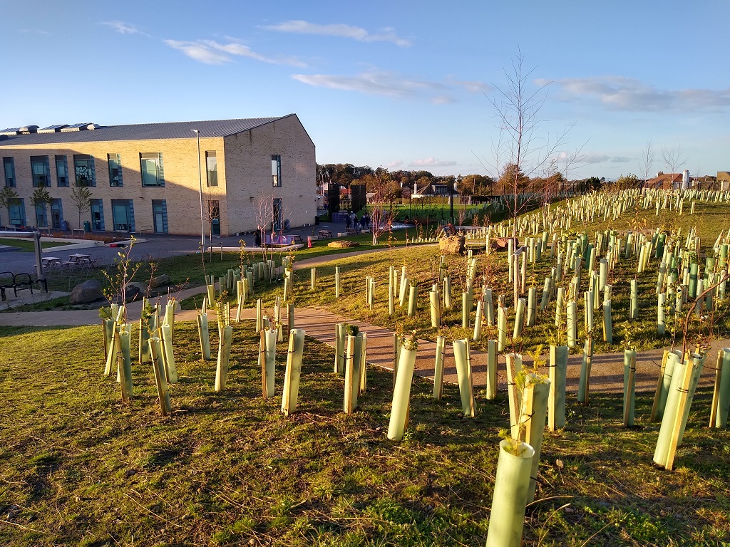 Frogston Primary School