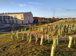 Frogston Primary School